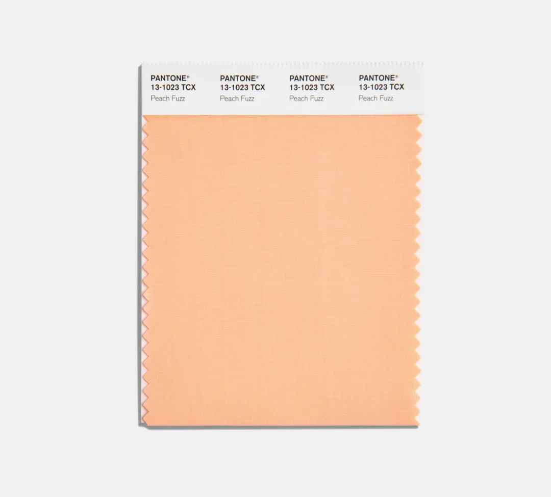 Pantone 2024 Peach Fuzz VI 